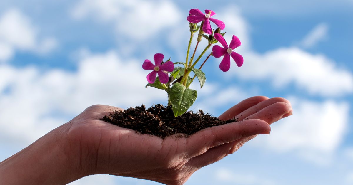 How Does Environmental Wellness Affect Our Lives? | 2026 | Healthy ...